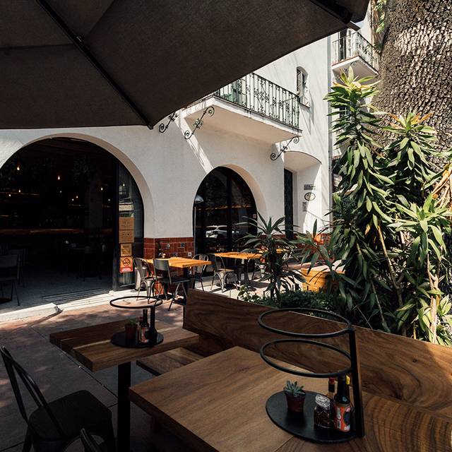 Cancino - Polanco Restaurante - Ciudad de México, CDMX | OpenTable