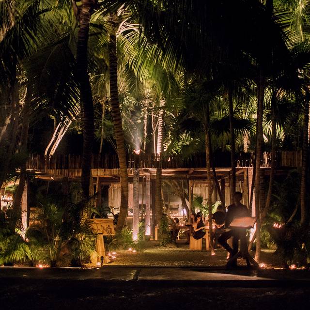 NÜ Tulum Restaurant - Tulum, ROO | OpenTable