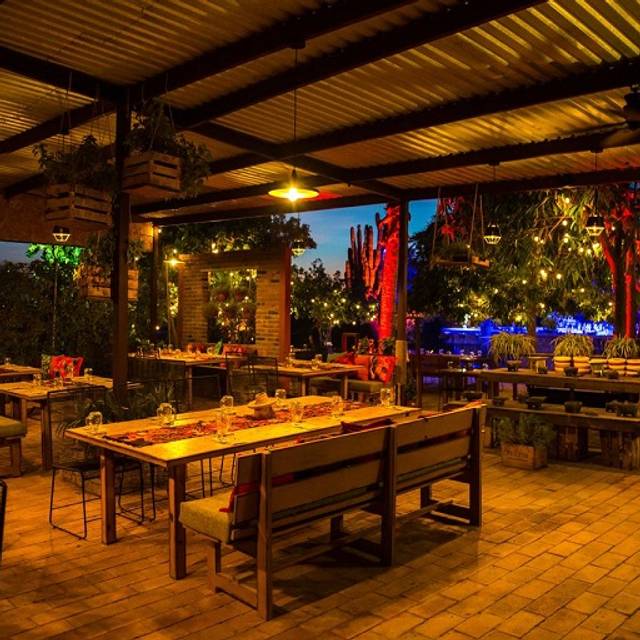 Metate Restaurante - San Jose del Cabo, BCS | OpenTable