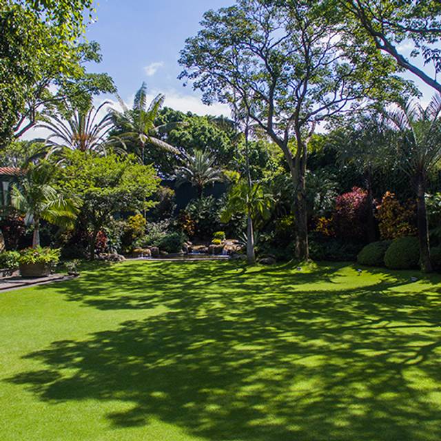 El Madrigal Restaurante - Cuernavaca, MOR | OpenTable
