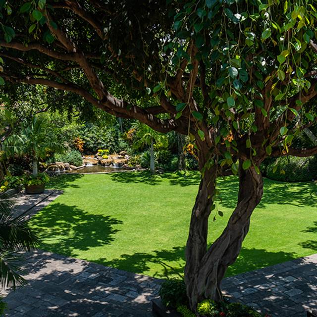 El Madrigal Restaurante - Cuernavaca, MOR | OpenTable