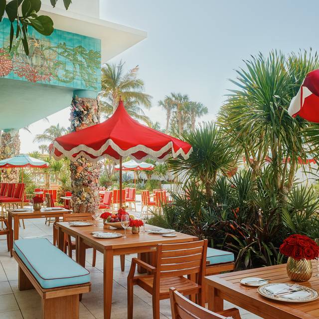 Tree of Life Restaurant - Miami Beach, FL | Book on OpenTable