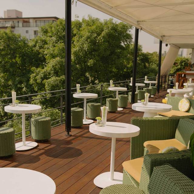 Restaurante Terraza Condesa DF - Actualizado en 2023 | Reserva tu mesa ...