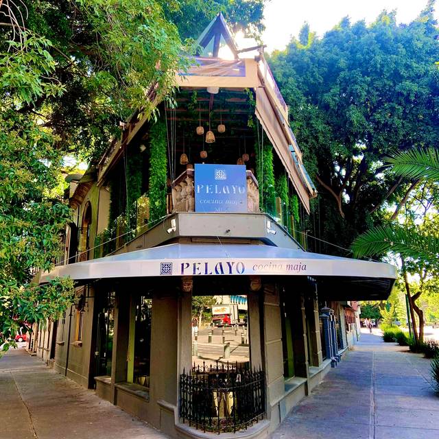 Pelayo Cocina Maja Restaurant - Cuauhtémoc, CDMX | OpenTable