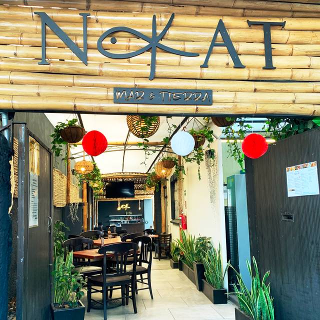 NAKAT - Updated 2025, International Restaurant in Ciudad de México, CDMX