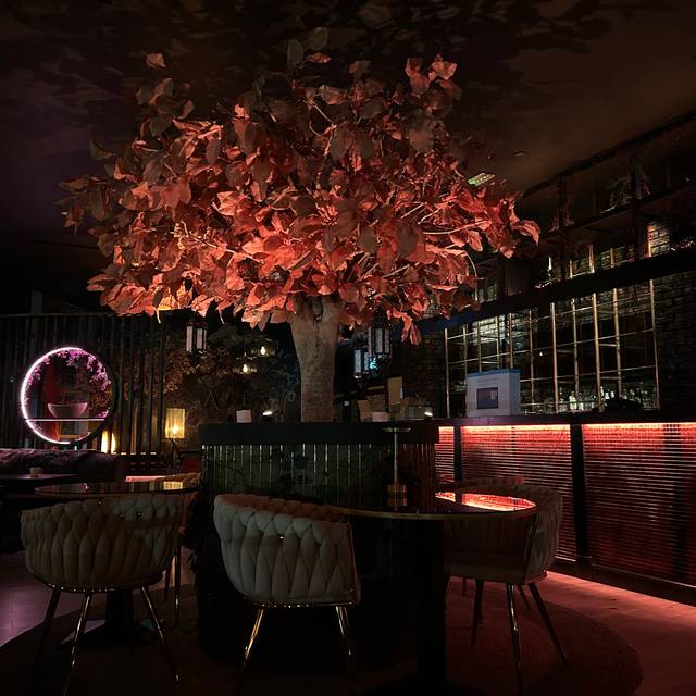 ACES Limerick Restaurant - Limerick, Co Limerick | OpenTable