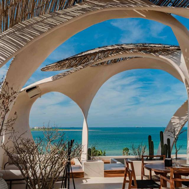Azotea Restaurant - La Paz, BCS | OpenTable