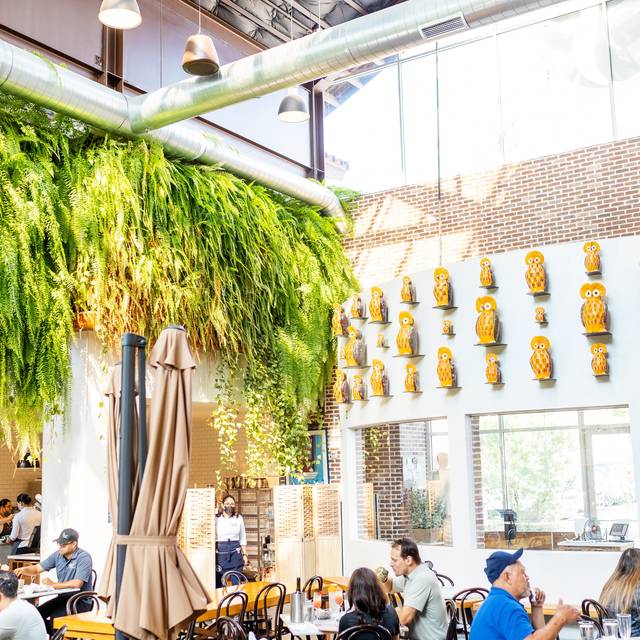 San Martin Uptown Restaurant - Dallas, TX | OpenTable