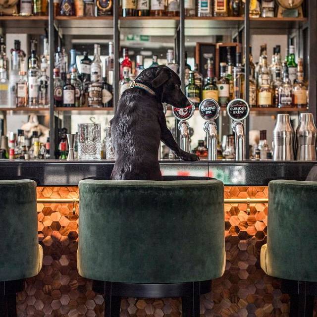 Smith & Whistle Bar & Terrace - Sheraton Grand London Park Lane ...