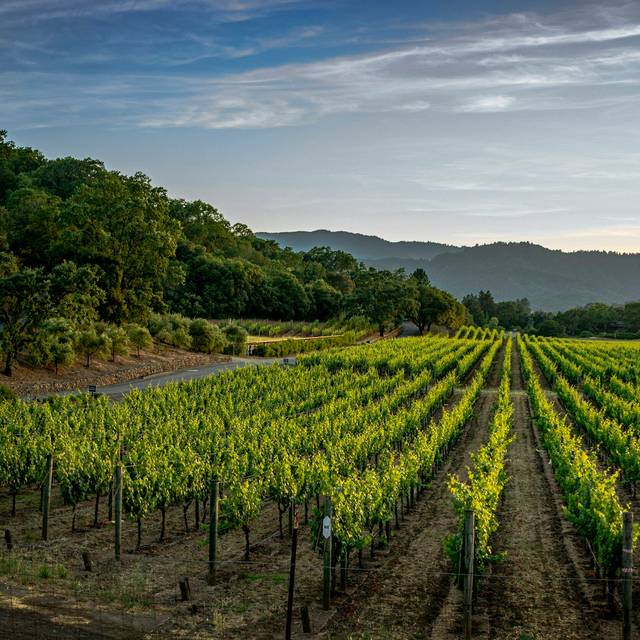 C29 - Updated 2024, Italian Restaurant in St. Helena, CA