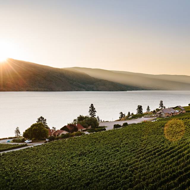 Fitzpatrick Family Vineyards - Peachland, BC | OpenTable