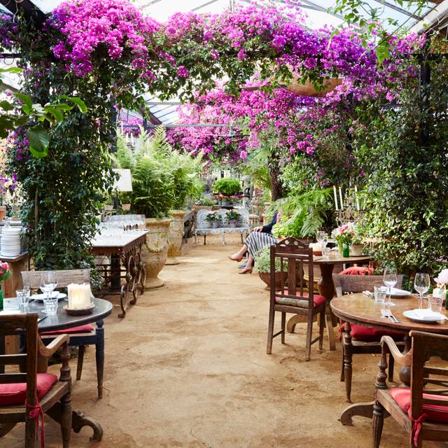 Petersham Nurseries Restaurant Richmond - Richmond, Greater London ...