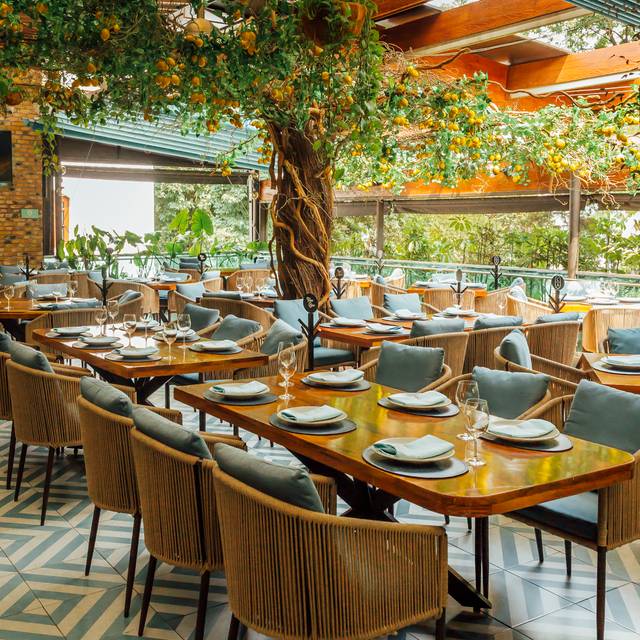 Centanni - Polanco Restaurant - Ciudad de México, CDMX | OpenTable