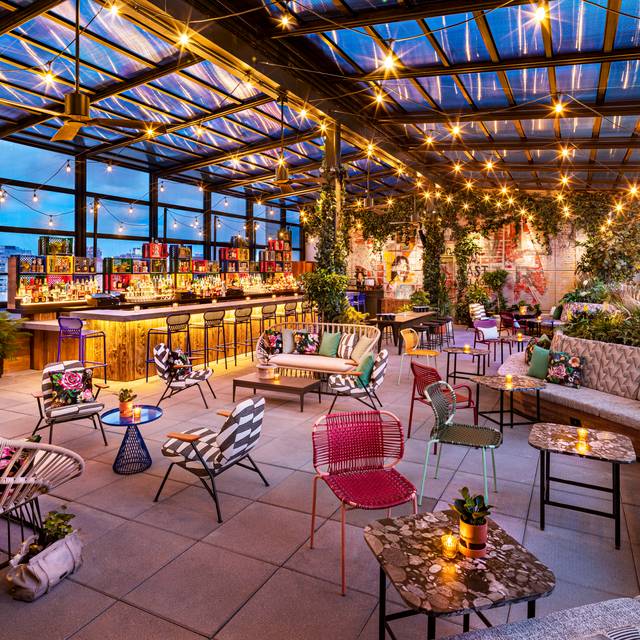 The Ready Rooftop Bar - Updated 2024, Bar And Lounge in New York, NY