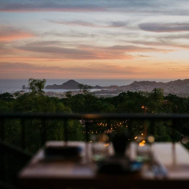 Torote Restaurant - Cabo San Lucas, BCS | OpenTable