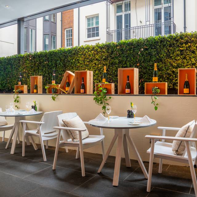 Café Biltmore Restaurant and Terrace - Updated 2024, British Restaurant ...