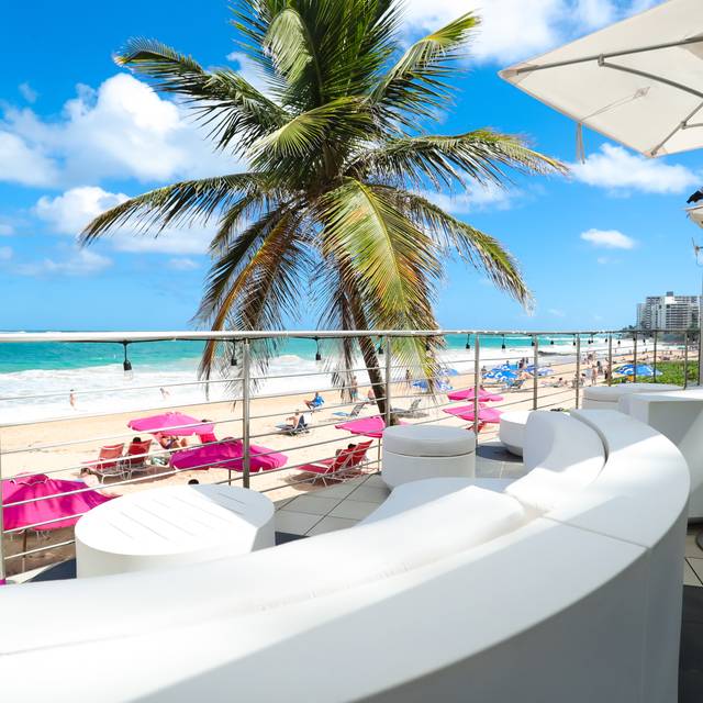 The Atlantic at The Tryst Restaurant - San Juan, PR | OpenTable