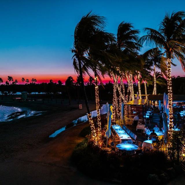 NOMA BEACH at Redfish Restaurant - Coral Gables, FL | OpenTable