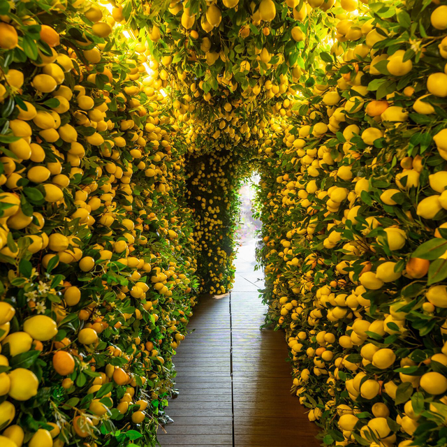 PHD Terrace – Dream Midtown Restaurant - New York, NY | OpenTable