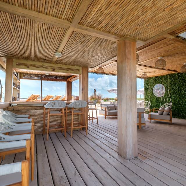 Akasha Restaurant - San Pedro, Corozal District | OpenTable