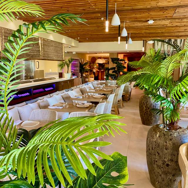 Pamplemousse On The Bay Restaurant - Miami Beach, FL | OpenTable