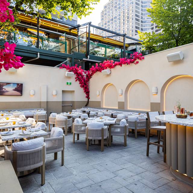 PAROS Restaurant - Toronto, ON | OpenTable