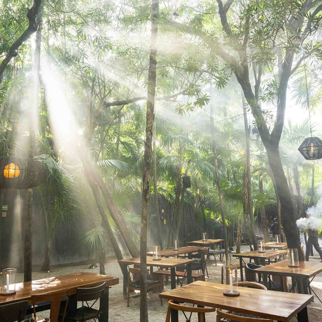 Restaurante ARCA - Tulum, ROO | OpenTable