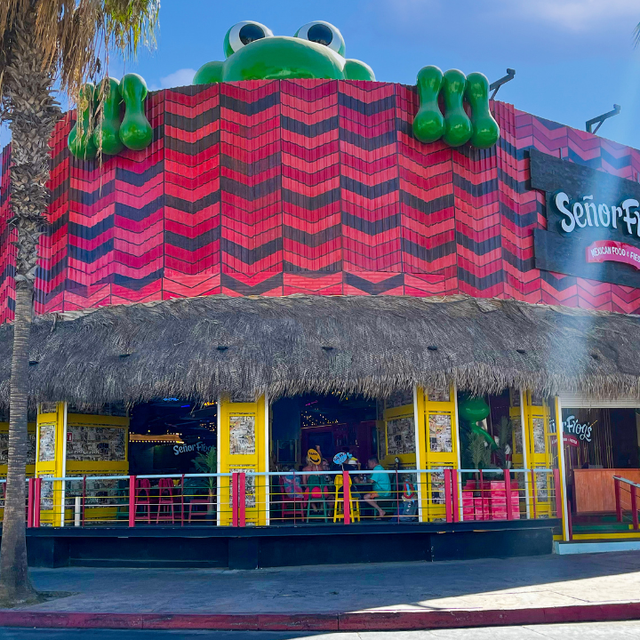 Señor Frog´s Los Cabos Party Zone Restaurant - Cabo San Lucas, BCS ...
