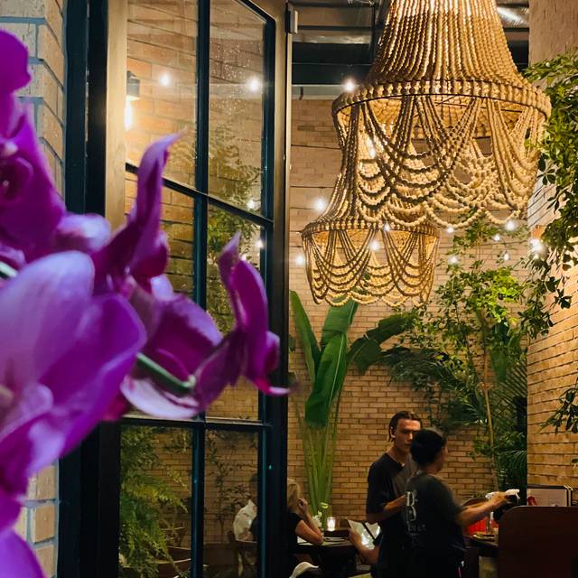 Bonito Lounge Restaurant - Puerto Vallarta, JAL | OpenTable