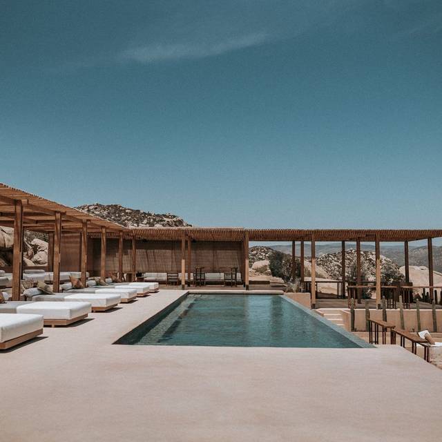 MIRA Poolside Restaurant - Francisco Zarco, BCN | OpenTable