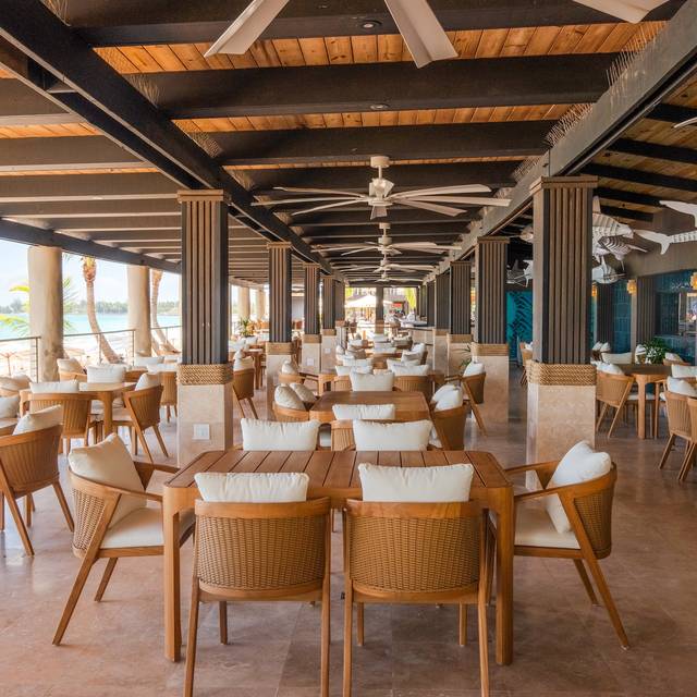 Ocean Lab Brewing Co - Vivo Beach Club - Carolina, PR | OpenTable