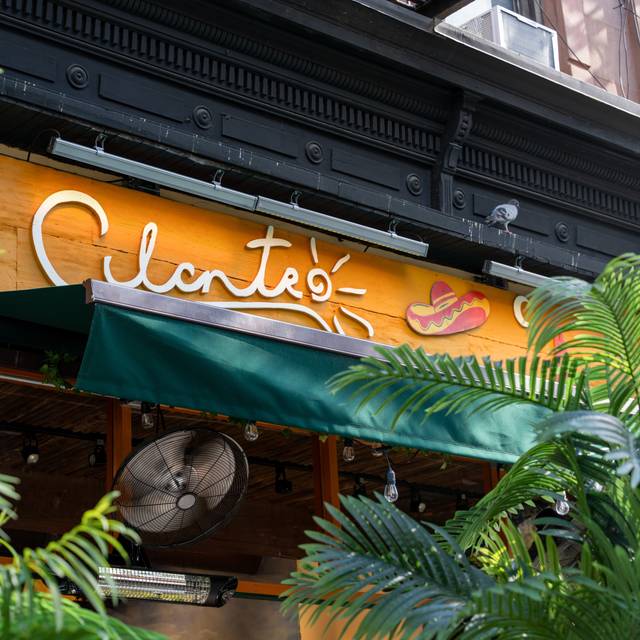 Cilantro - Updated 2026, Mexican Restaurant in New York, NY