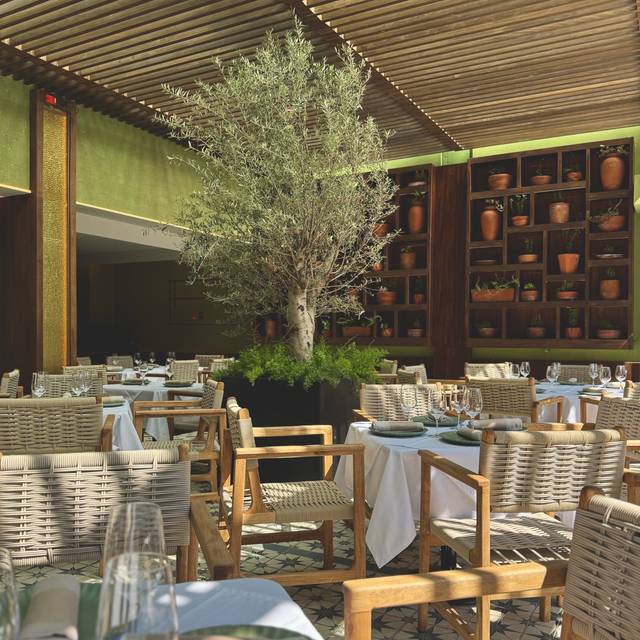 RESTAURANTE TRUJAL - Ciudad de México, CDMX | OpenTable