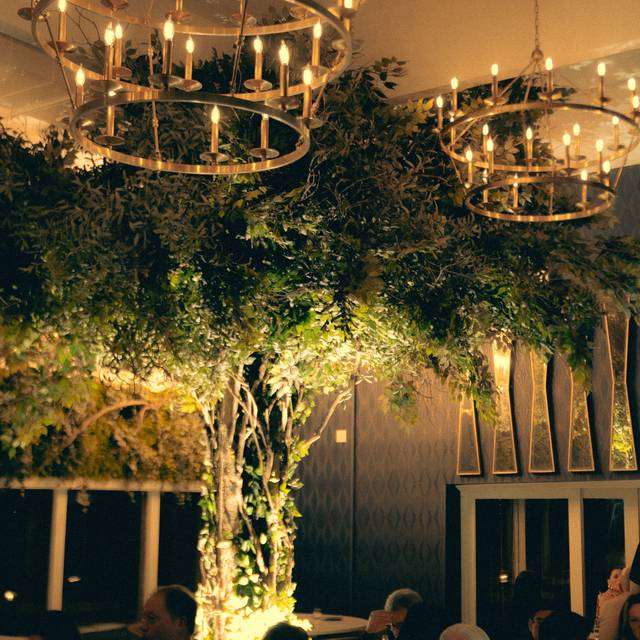 Olea - Restaurant & Lounge - Spring Lake, NJ | OpenTable
