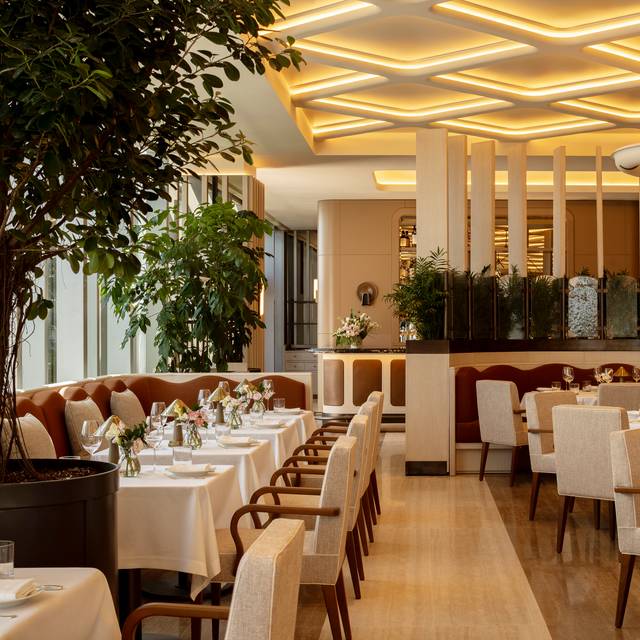 Seia - Miami Restaurant - Miami, FL | OpenTable