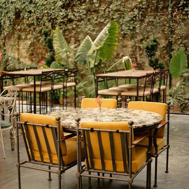 Querida Adela - Café & Cocina - Updated 2025, Contemporary Mexican ...