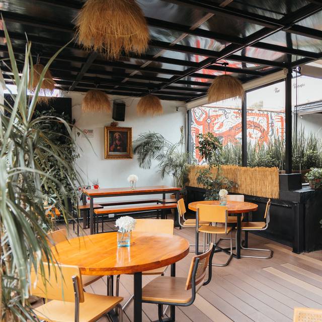 Esquina Común Restaurant - Ciudad de México, CDMX | OpenTable