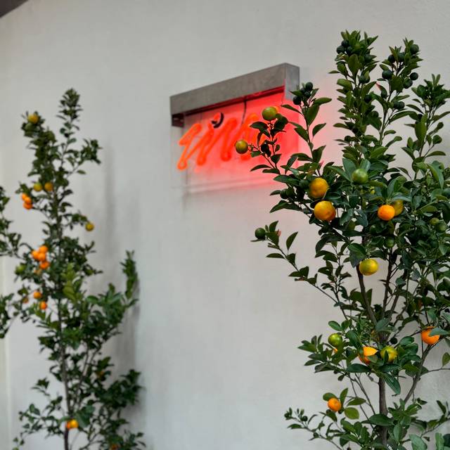 Zimo Restaurant - Ciudad de México, CDMX | OpenTable