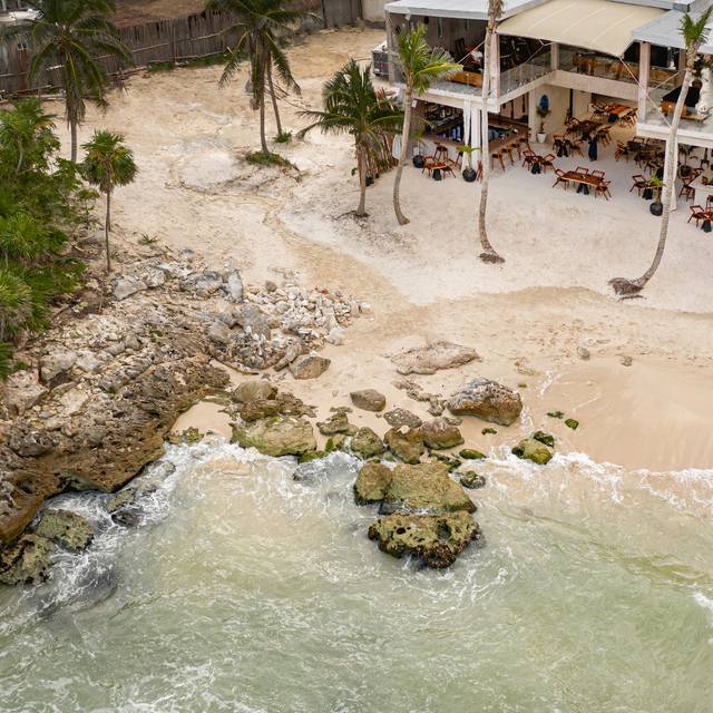 Blue Venado Beach Club - Actualizado en 2025, restaurante italianos en ...