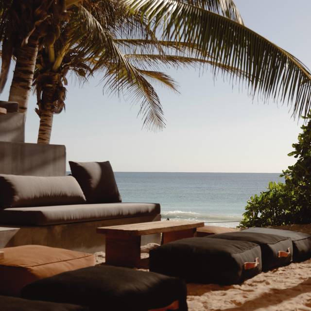 UMi Restaurant - Tulum, ROO | OpenTable