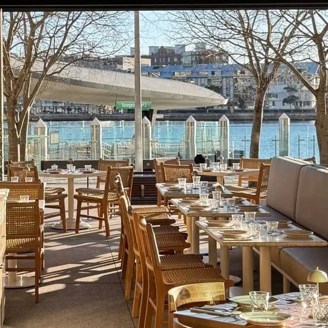 Gina Pasta Bar Restaurant - Barangaroo, AU-NSW | OpenTable
