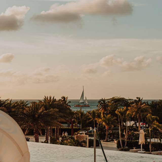 ZIMA Rooftop Bar Restaurant - Eagle Beach, Oranjestad | OpenTable