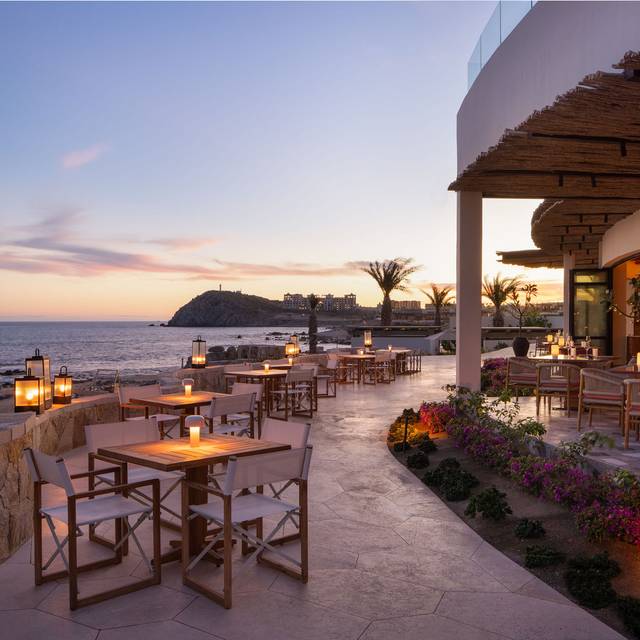 Cayao by Chef Richard Sandoval Restaurant - Cabo San Lucas, BCS | OpenTable