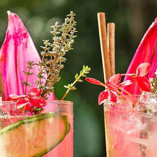 Huacas Cantina in Nosara, Guanacaste - Trip Canvas