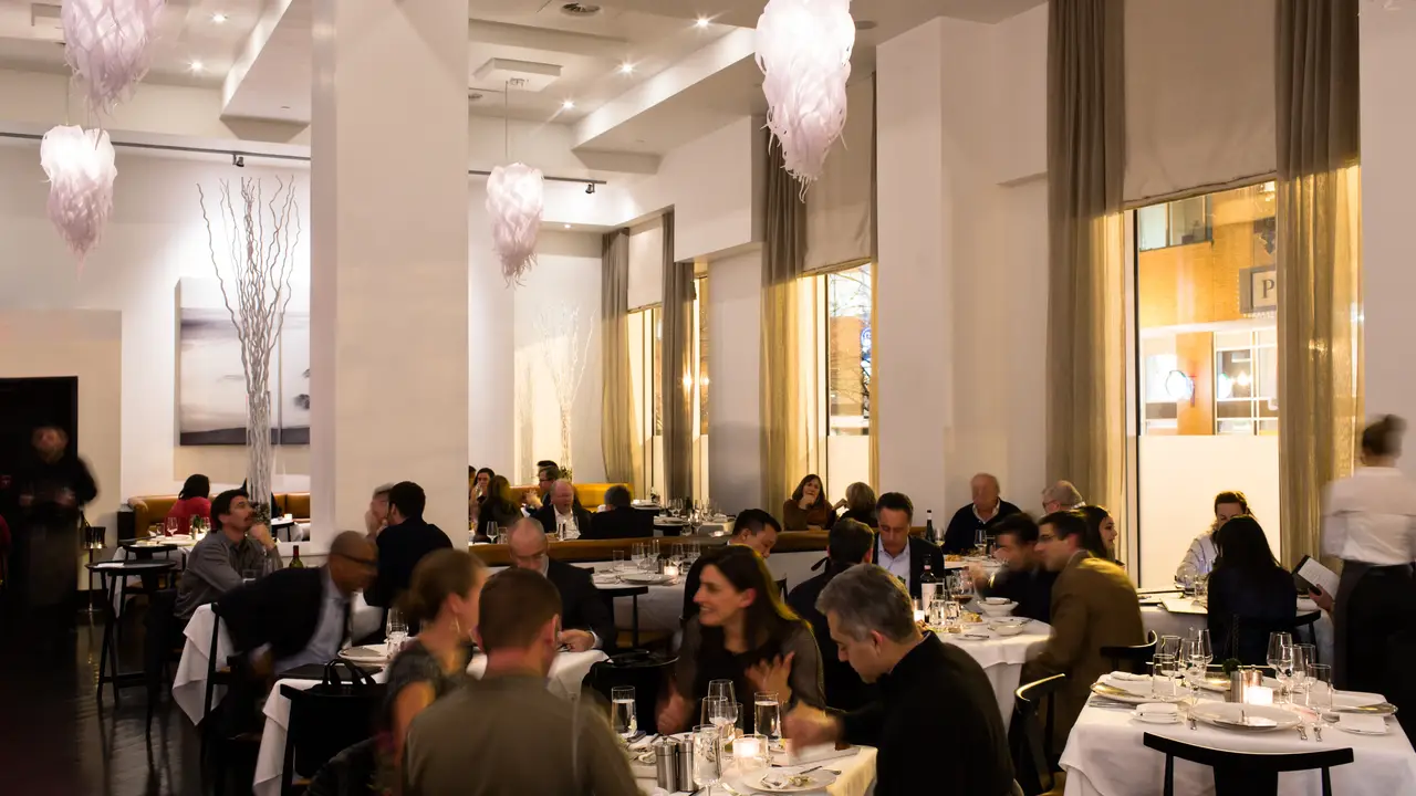 Ostra Restaurant - Boston, , MA | OpenTable