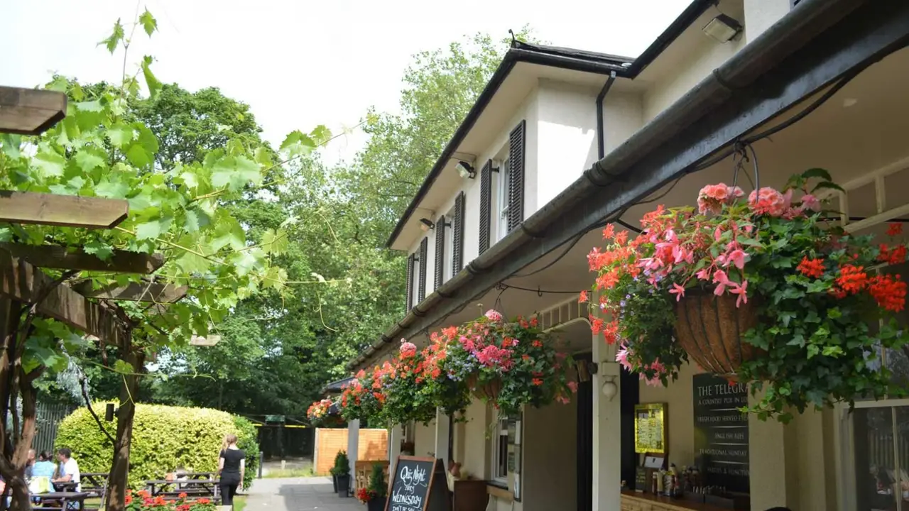 The Telegraph - Putney Heath Restaurant - London | OpenTable