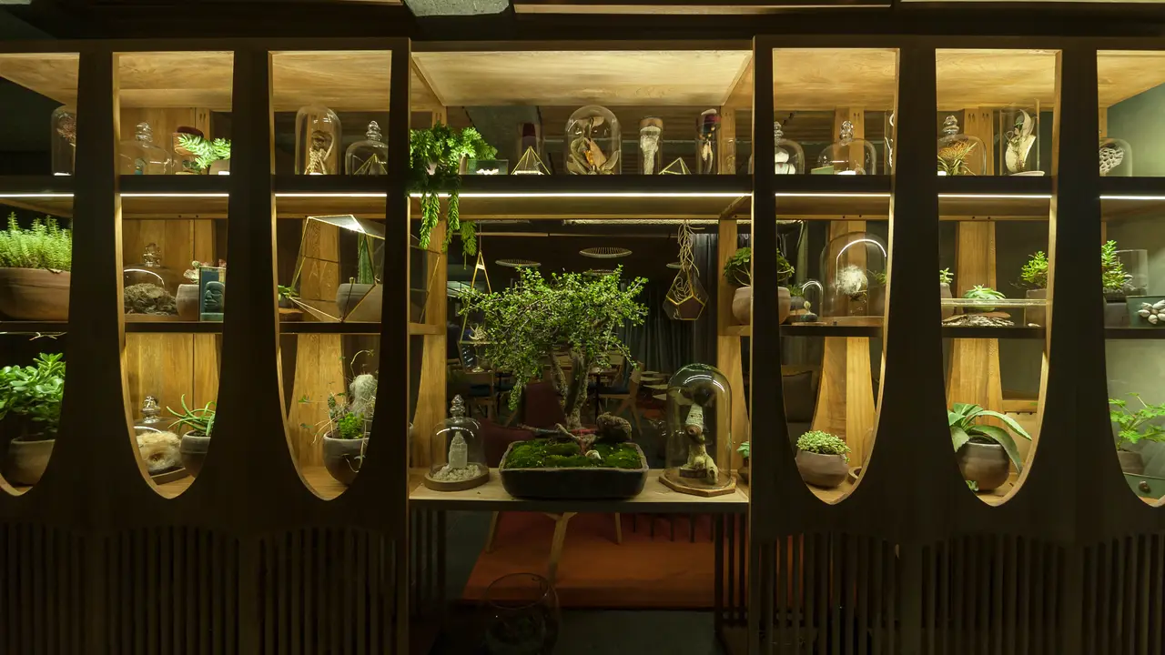 Xaman Bar Restaurant - Ciudad de México, , CDMX | OpenTable