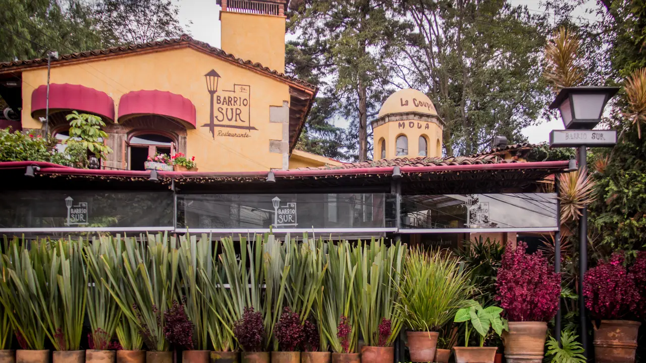 Barrio Sur Restaurant - Ciudad de México, CDMX | OpenTable