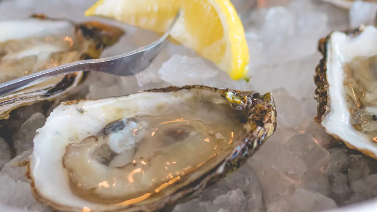 Restaurante Starboard RAW - Dewey Beach, , DE | OpenTable