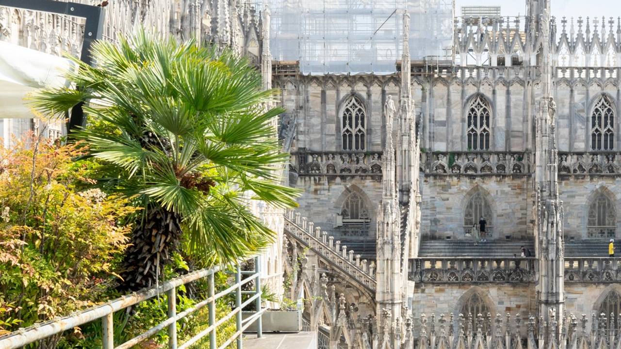 Maio Restaurant Milan Maio Restaurant Milano, Milan | OpenTable